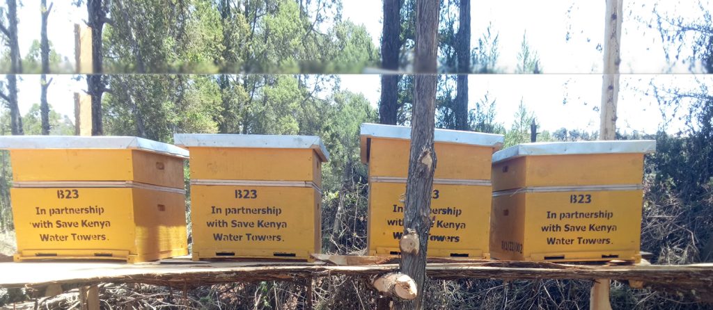 The Hidden Heroes: Exploring the Vital Role of Bees in Ecosystem ...